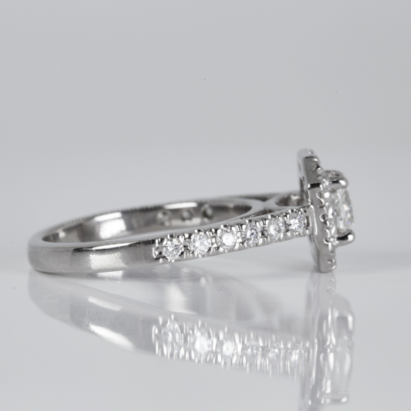 levett fields ringmer