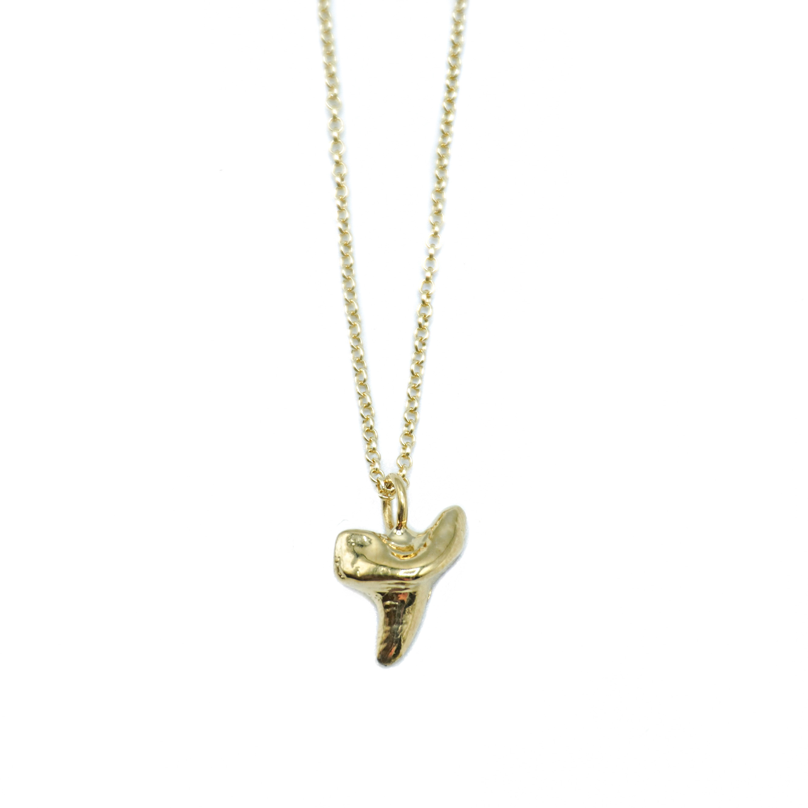 14k Gold Shark Tooth Necklace