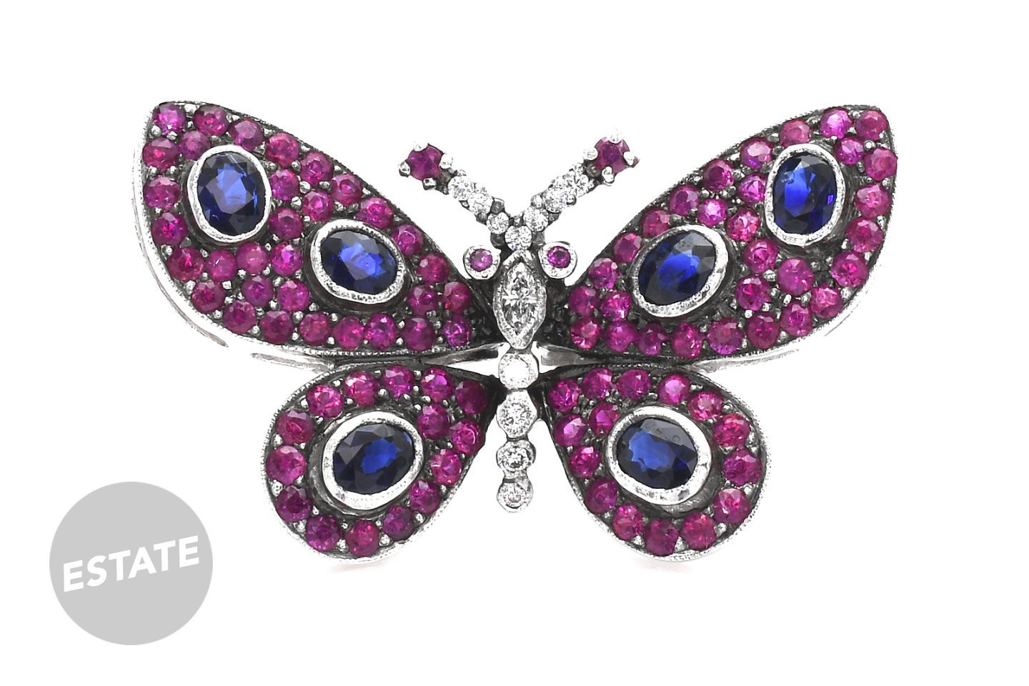 butterfly levian